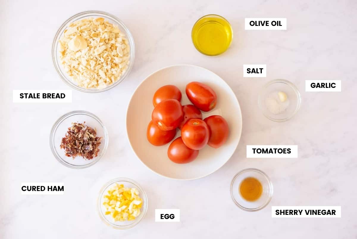 SPANISH SALMOREJO RECIPE - Los Lobos